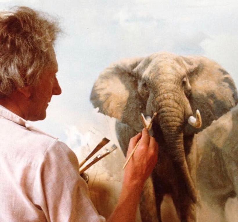 David Shepherd Wildlife Foundation | The Wildlife Conservation Charity