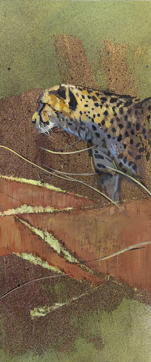 Emily Lamb | David Shepherd Wildlife Foundation