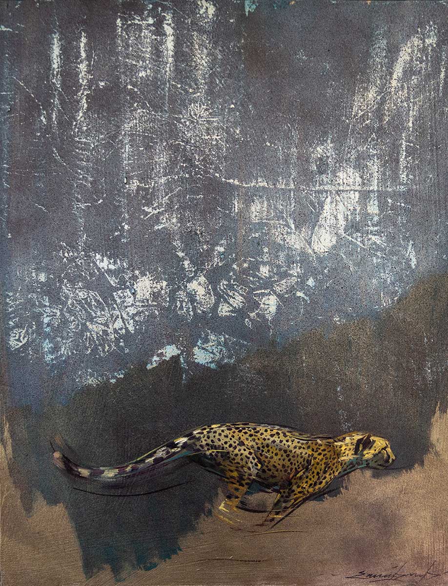 Emily Lamb | David Shepherd Wildlife Foundation