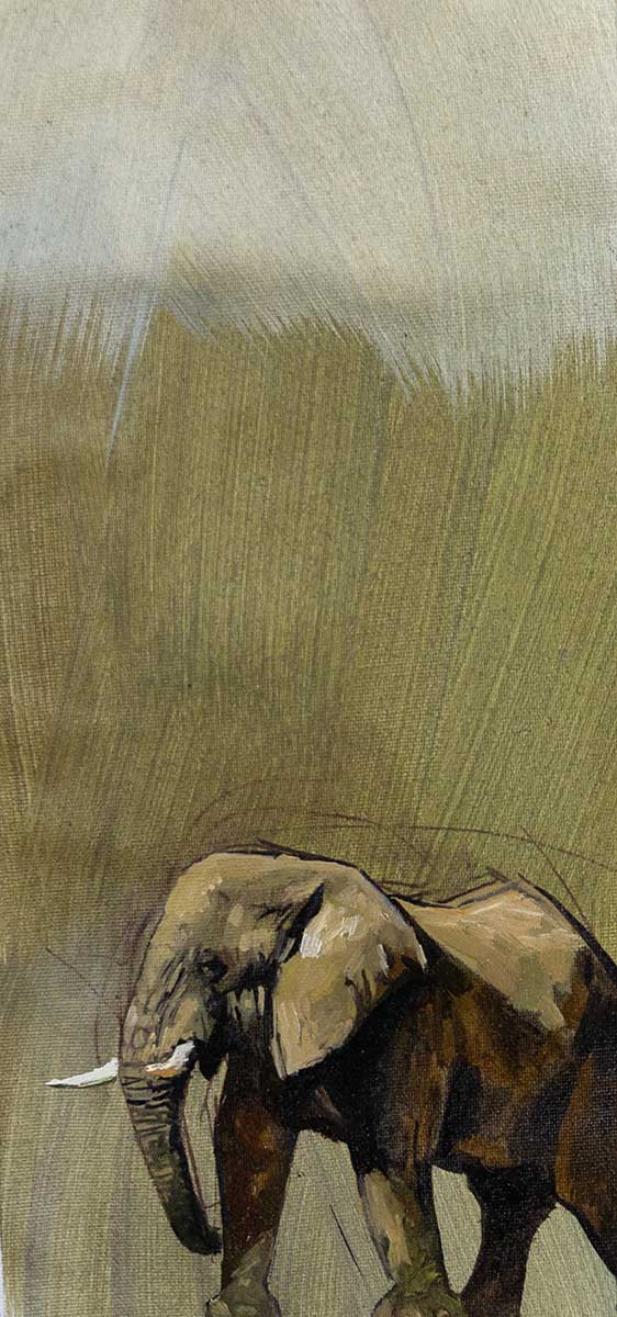 Emily Lamb | David Shepherd Wildlife Foundation