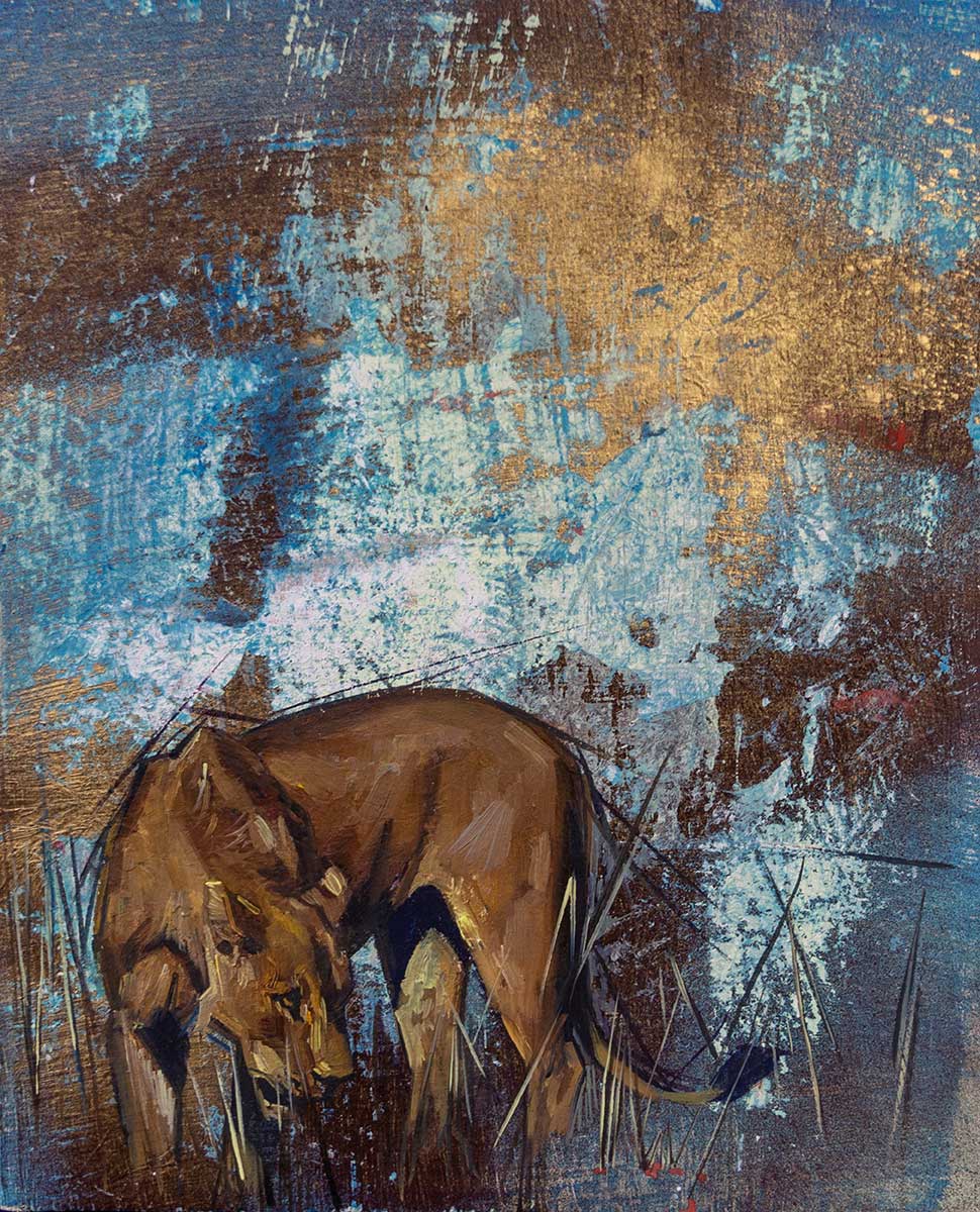 Emily Lamb | David Shepherd Wildlife Foundation