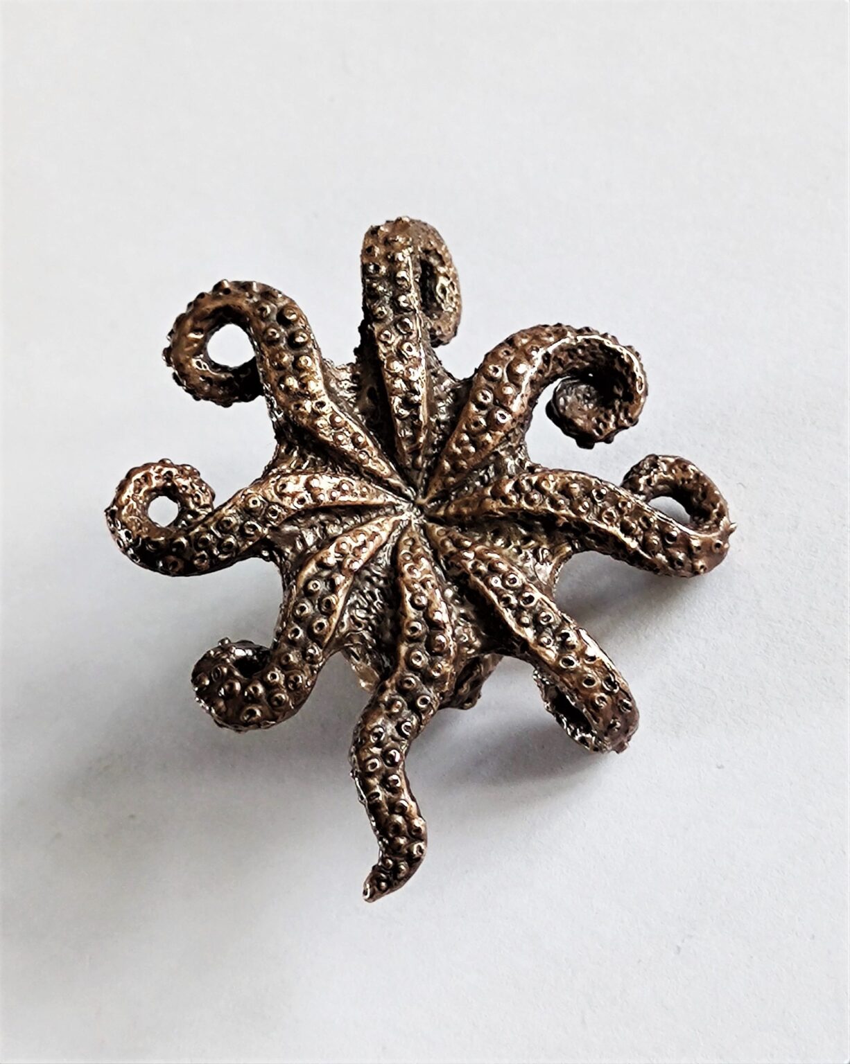 Octopus | David Shepherd Wildlife Foundation