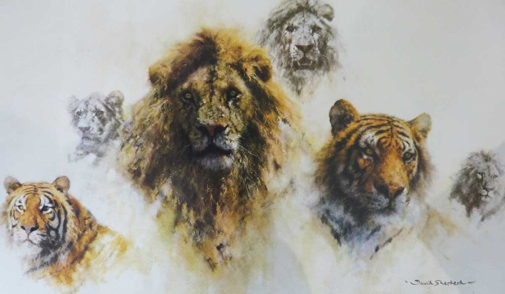 Just Cats | David Shepherd Wildlife Foundation