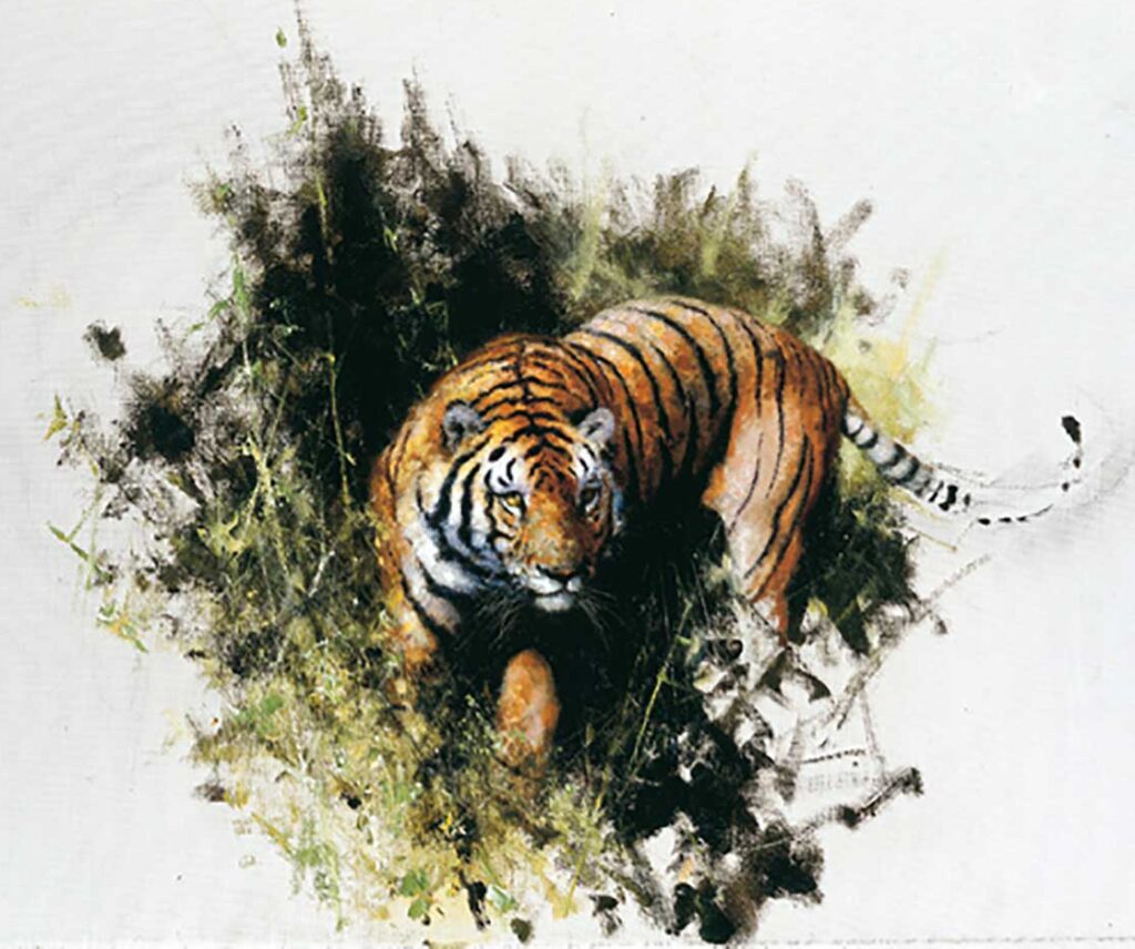 Sketch for the Tiger | David Shepherd Wildlife Foundation