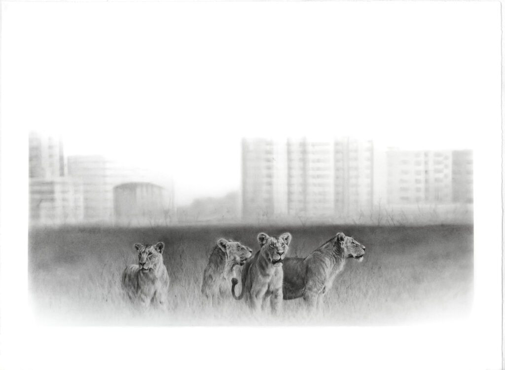 #WAY137 Cole Stirling - Coexistence | David Shepherd Wildlife Foundation