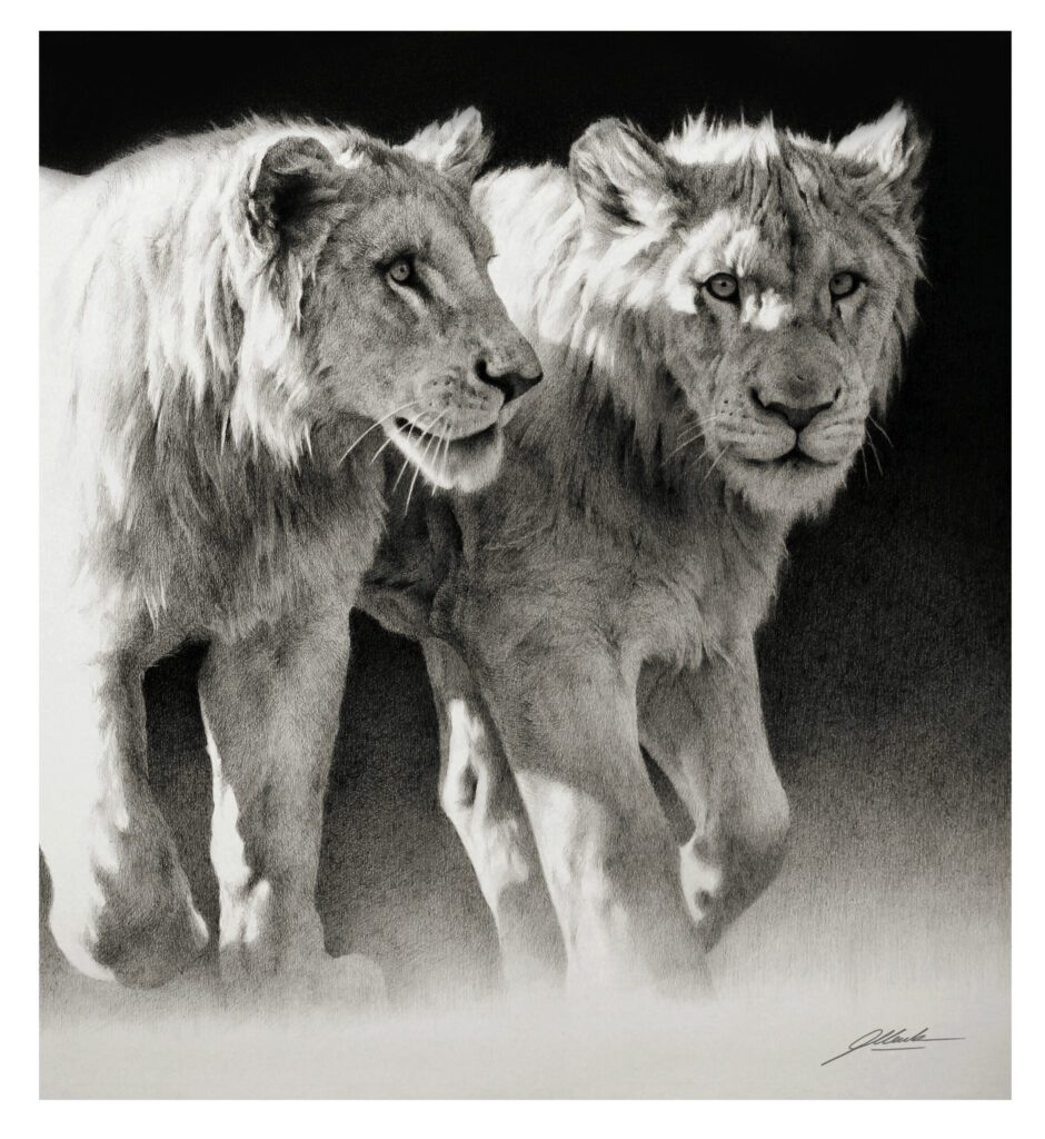 #WAY091 Justin Mark - Coming of Age | David Shepherd Wildlife Foundation