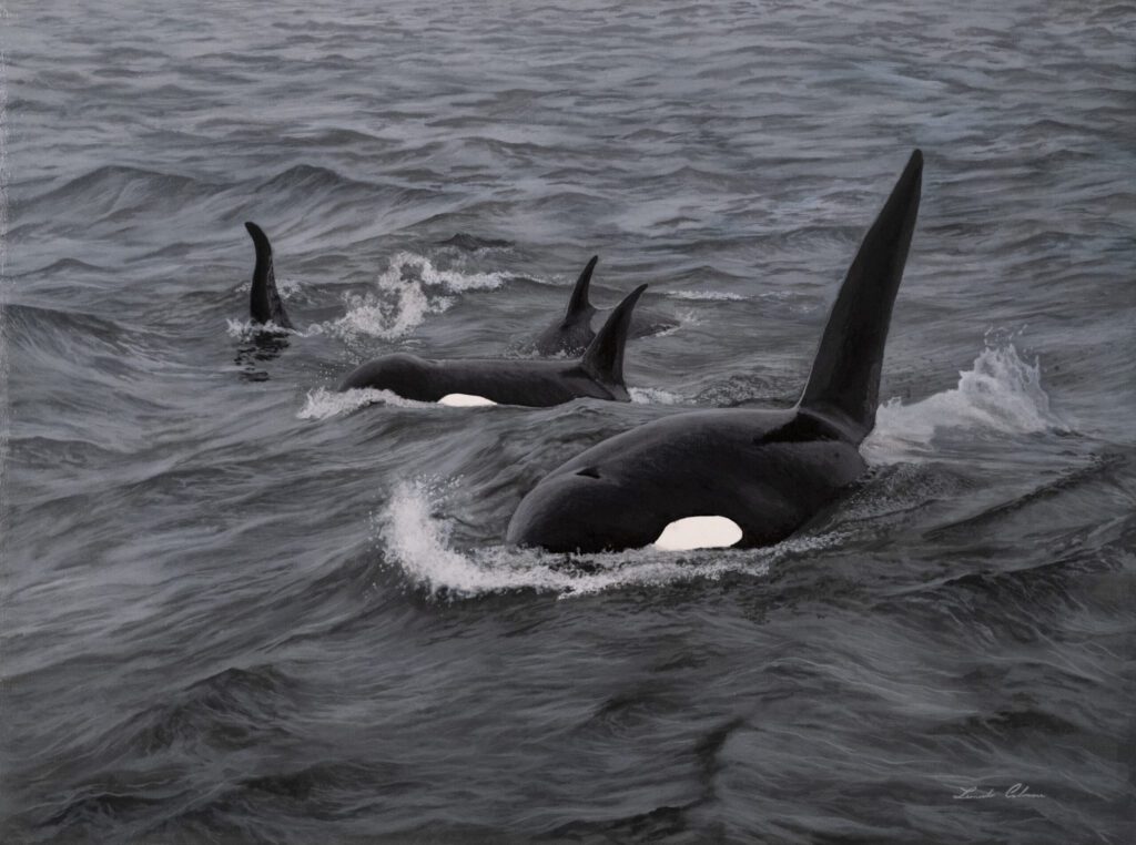 #WAY023 Leonardo Calonaci - Top Team | David Shepherd Wildlife Foundation