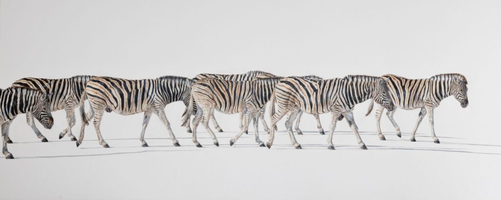 #WAY019 Zoe Burr - Zebra Crossing | David Shepherd Wildlife Foundation