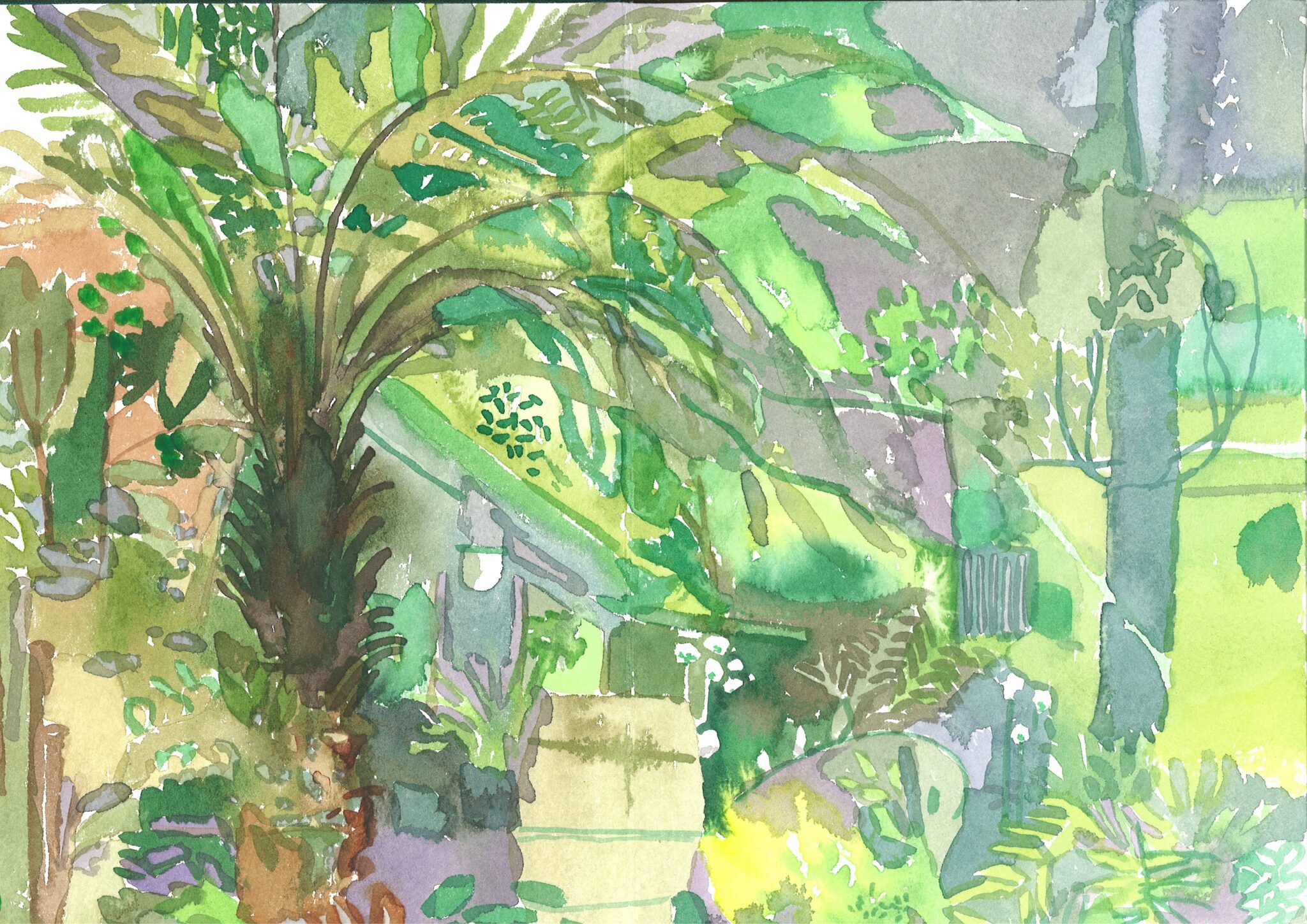 No. 18 - Jack Haslam | David Shepherd Wildlife Foundation