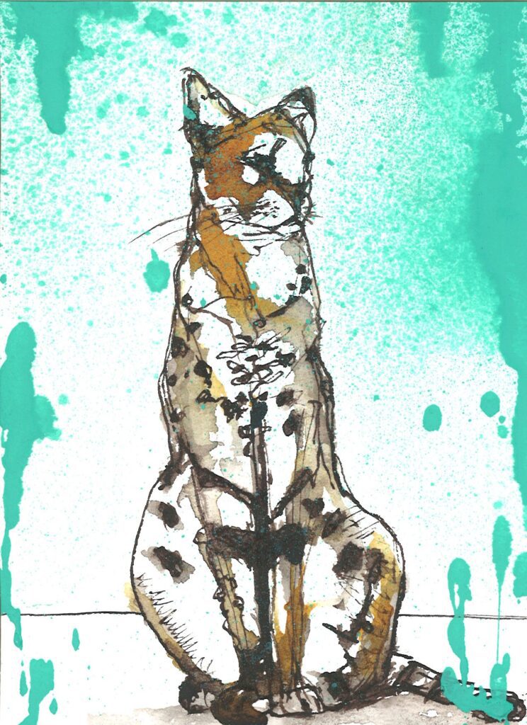 No. 3 - Tammy Walters | David Shepherd Wildlife Foundation