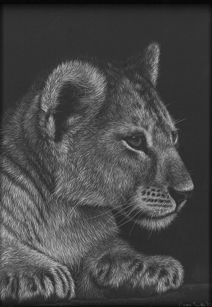 No. 42 - Conor Smith | David Shepherd Wildlife Foundation