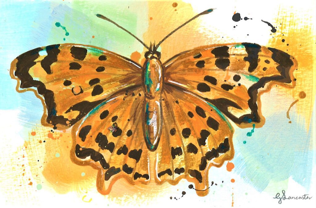 WAY Sketch for Wildlife 2023 - Comma by Georgia Lancaster | David ...