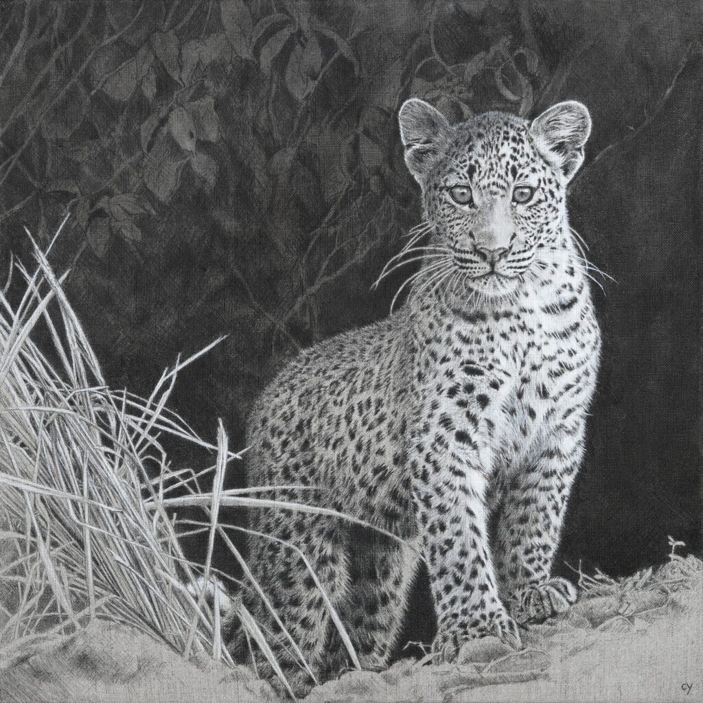 #CB2303 Cy Baker - Leopard Cub | David Shepherd Wildlife Foundation