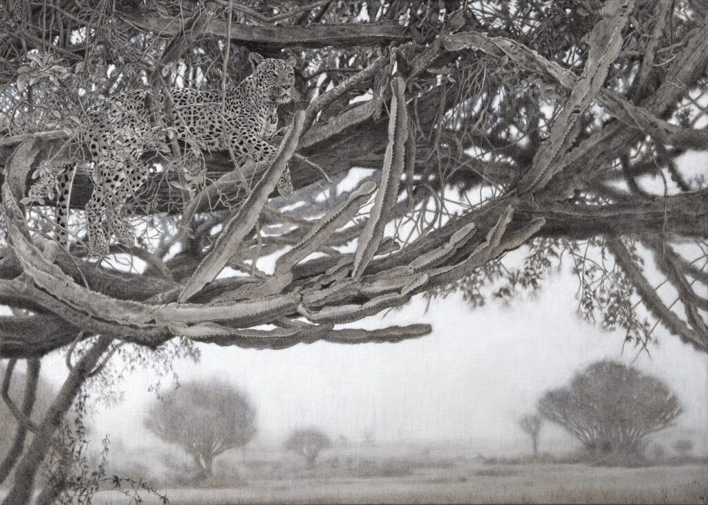 #CB2302 Cy Baker- Leopard Landscape | David Shepherd Wildlife Foundation