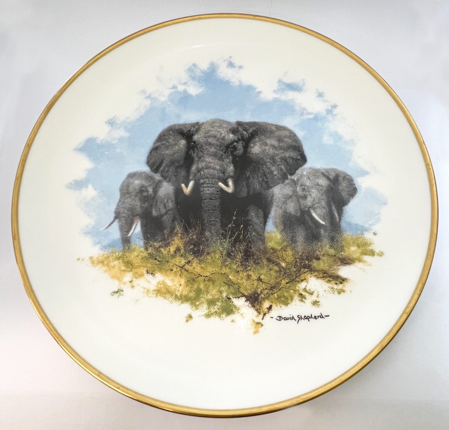 Elephants - Large Wedgwood Plate | David Shepherd Wildlife Foundation