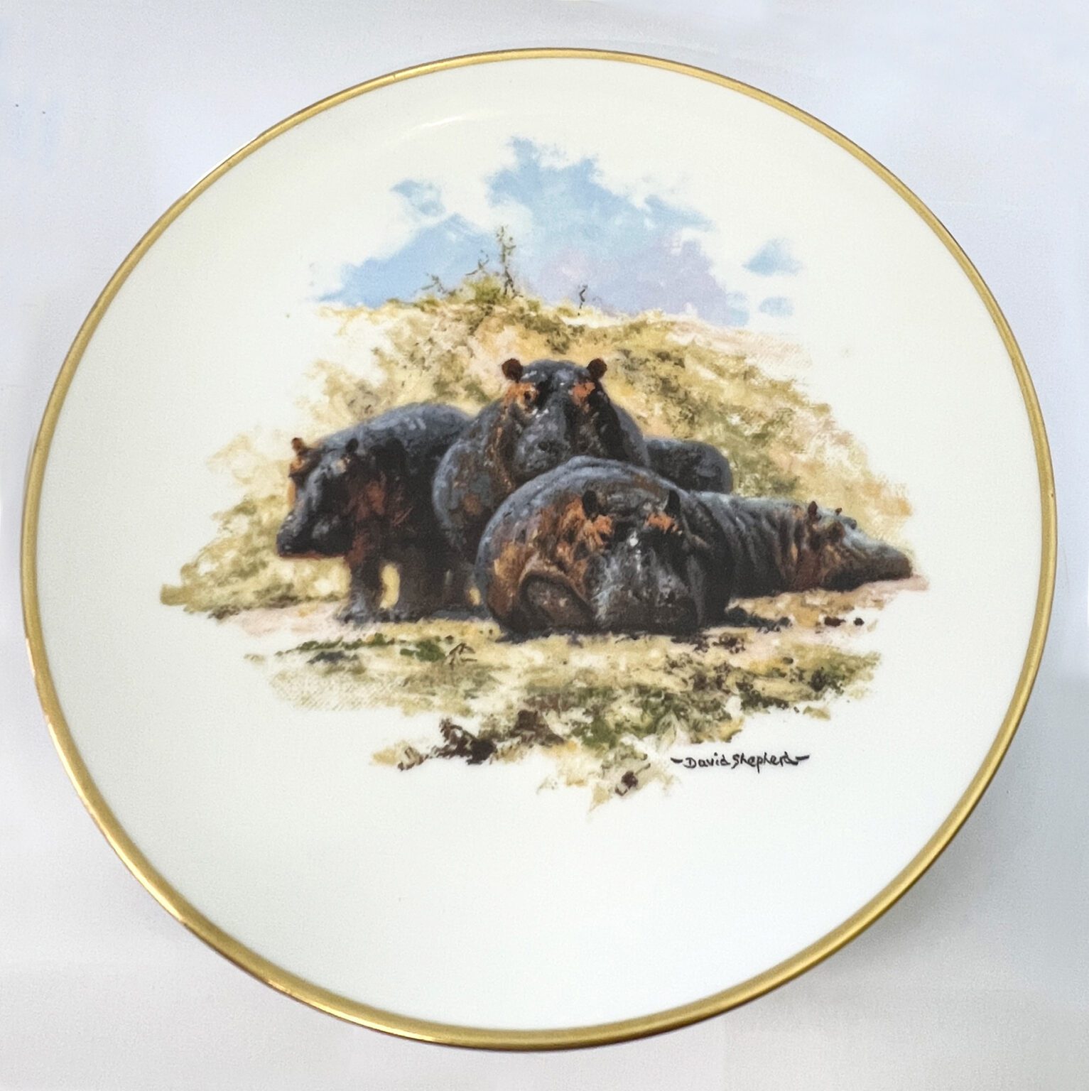 Hippos - Large Wedgwood Plate | David Shepherd Wildlife Foundation