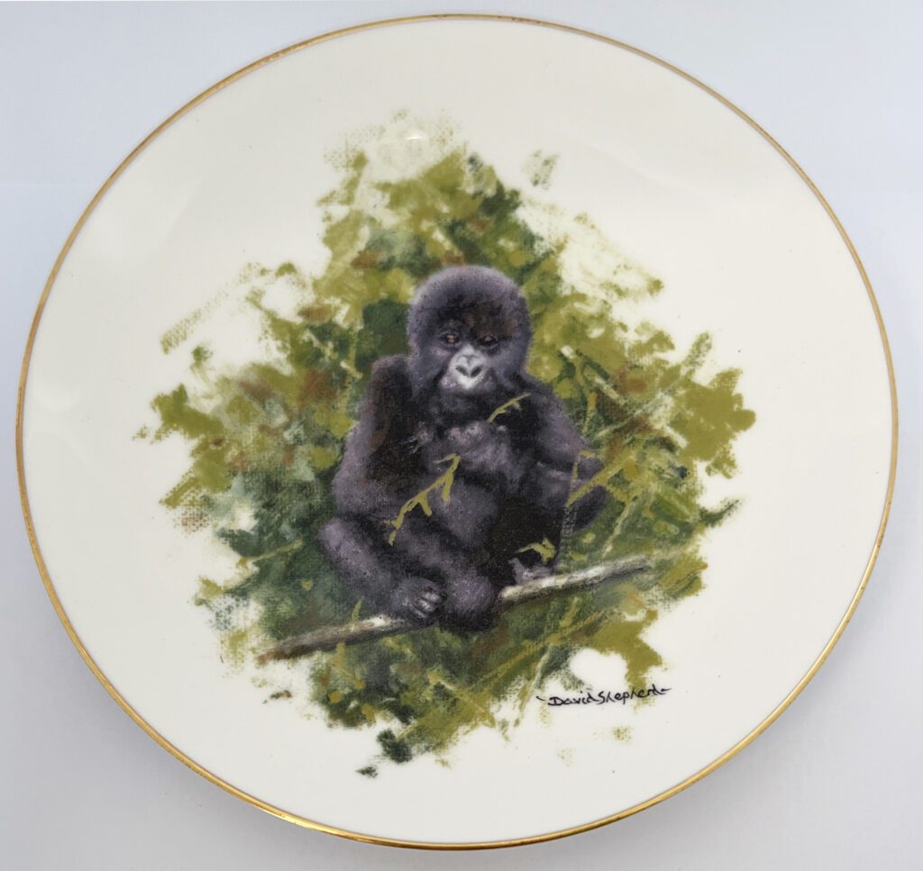 Baby Gorilla - Small Wedgwood Plate | David Shepherd Wildlife Foundation