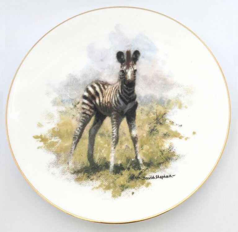 Zebra Foal - Small Wedgwood Plate | David Shepherd Wildlife Foundation