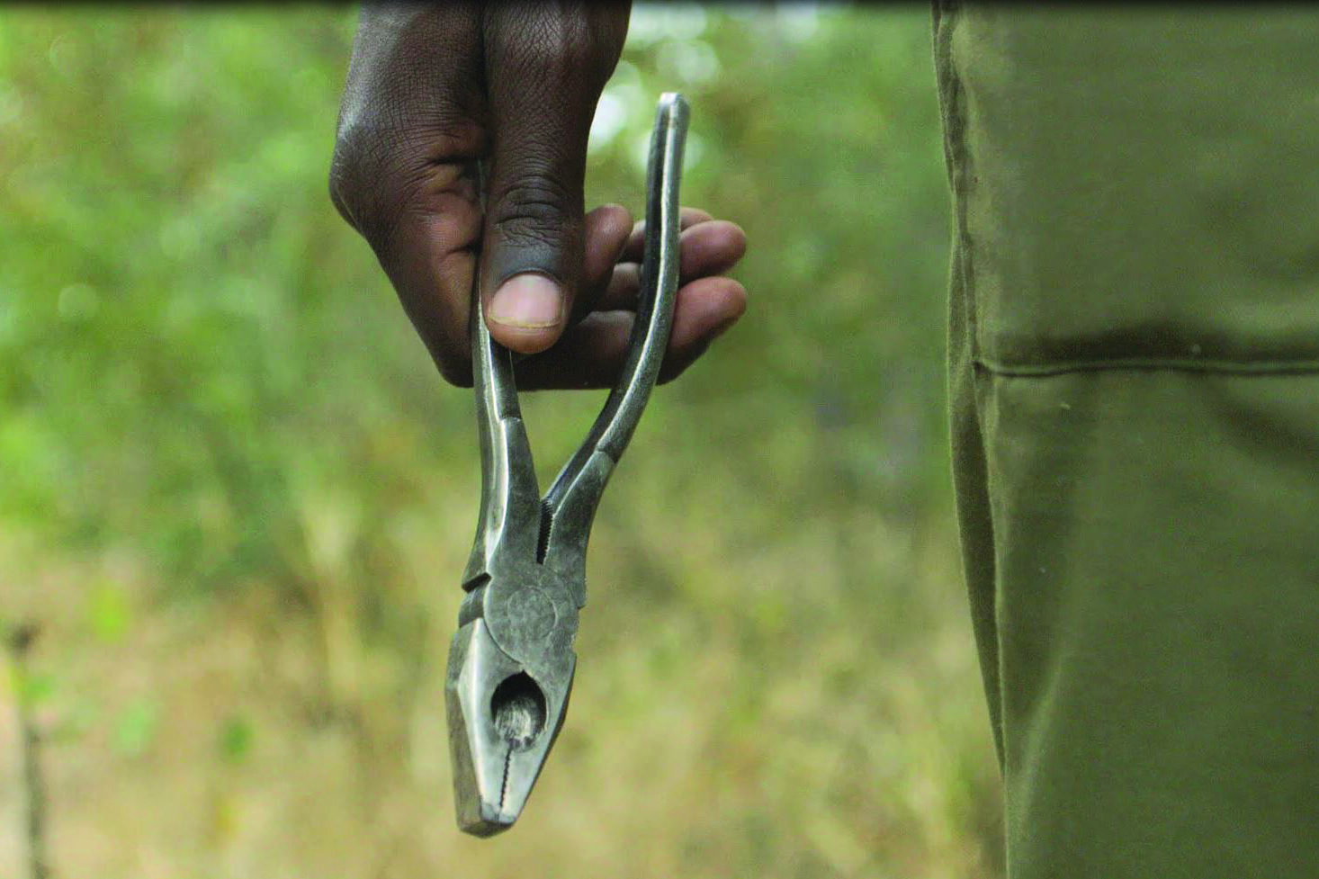 Snares – The Silent Killer | David Shepherd Wildlife Foundation