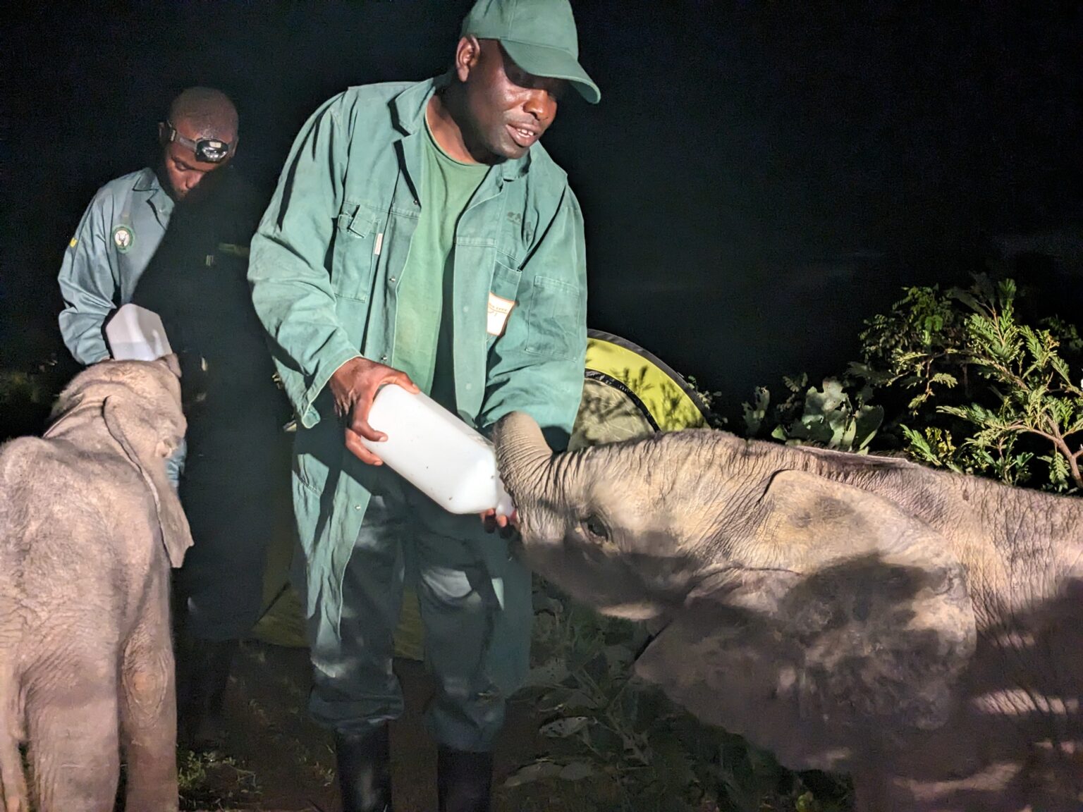 Victims of an unprecedented large-scale human-elephant conflict incident | David Shepherd ...