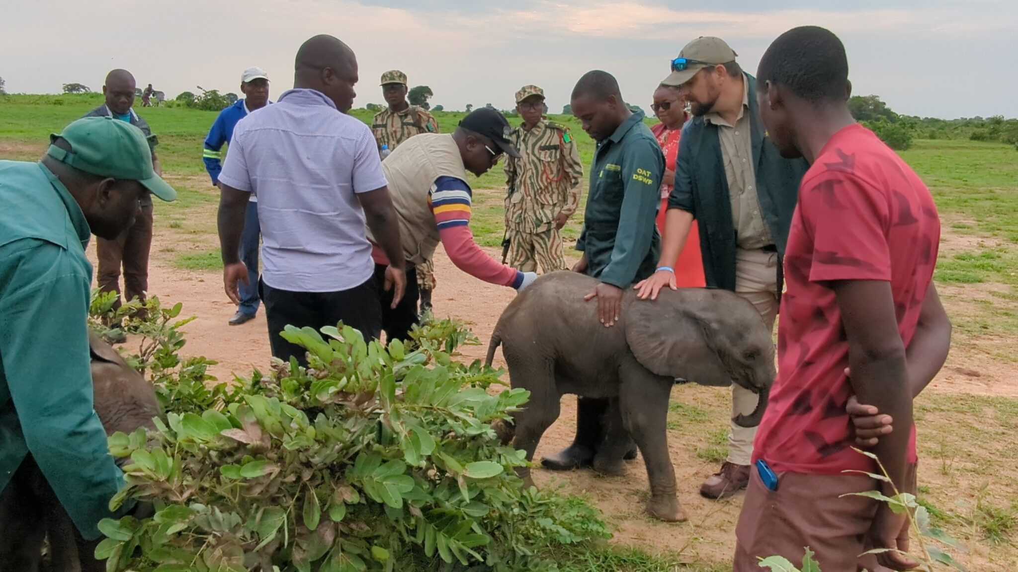 Victims of an unprecedented large-scale human-elephant conflict incident | David Shepherd ...