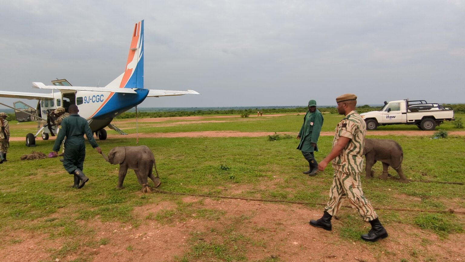 Victims of an unprecedented large-scale human-elephant conflict incident | David Shepherd ...