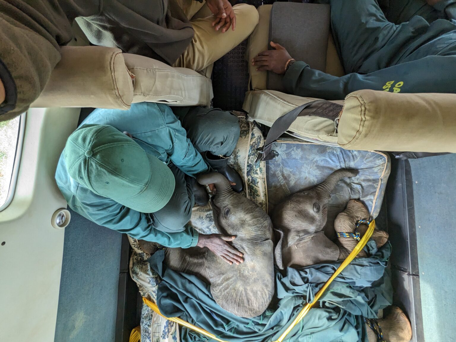 Victims of an unprecedented large-scale human-elephant conflict incident | David Shepherd ...