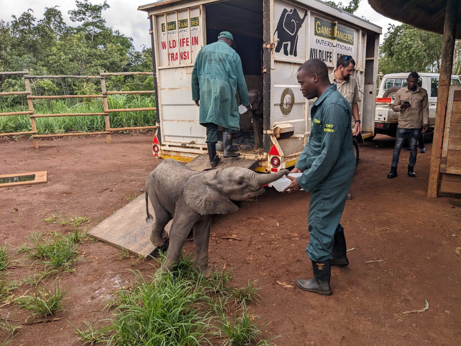 Victims of an unprecedented large-scale human-elephant conflict ...