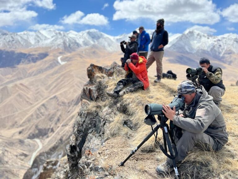 S.O.S.(L)... Save Our Snow Leopards! | David Shepherd Wildlife Foundation