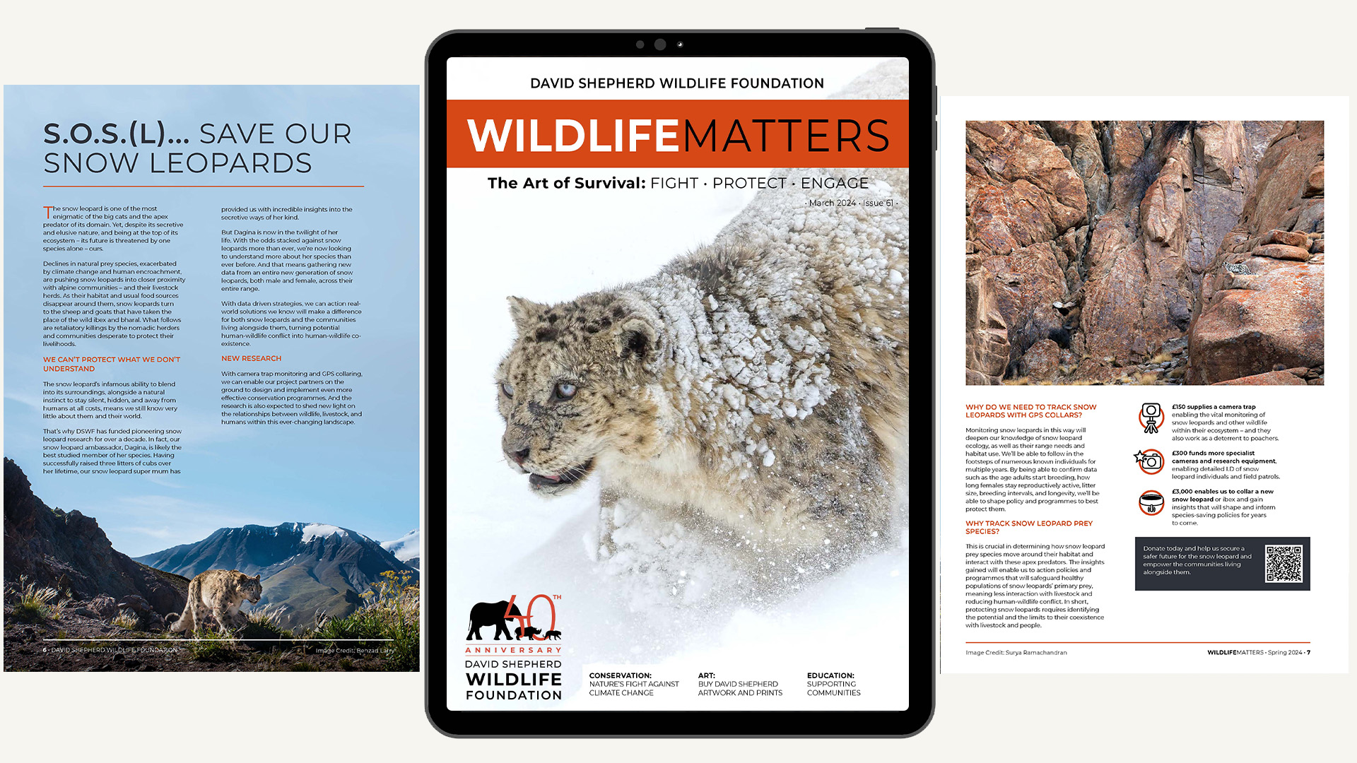 Wildlife Matters Magazine | David Shepherd Wildlife Foundation
