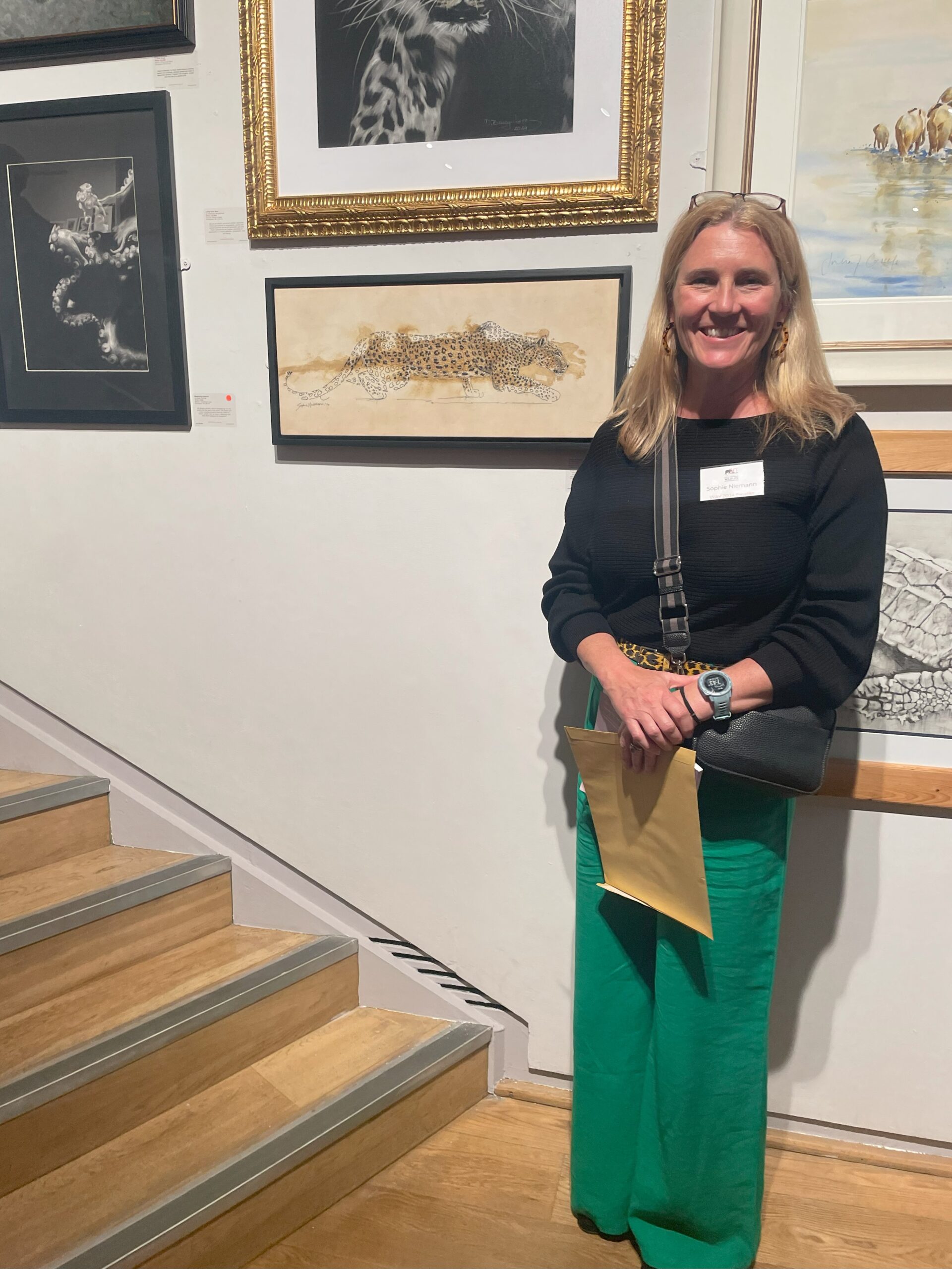 DSWF Wildlife Artist of the Year – Winners and Highlights | David ...