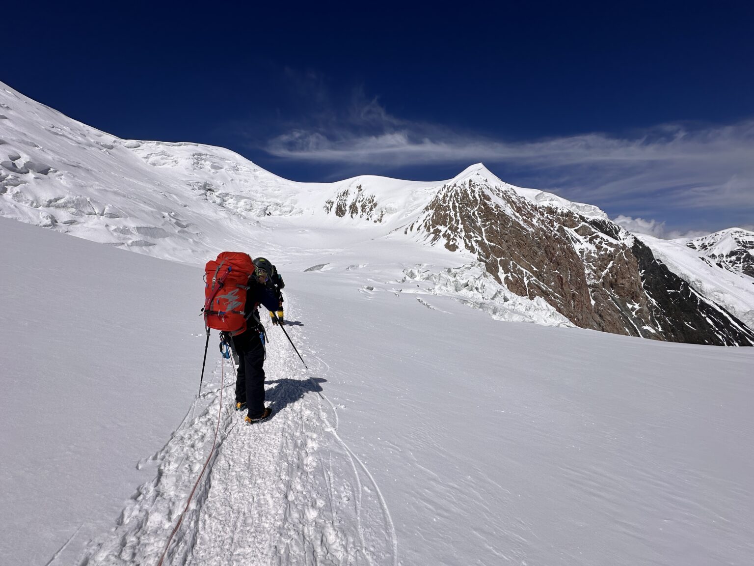 Climbing for Conservation: Tom Hicks' Epic Challenge to Save Snow Leopards | David Shepherd ...