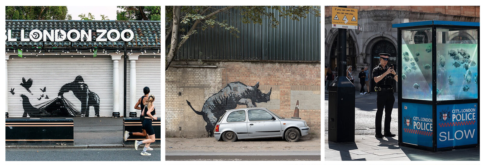 An Artist's Thoughts on Banksy's Recent Wildlife Art | David Shepherd ...