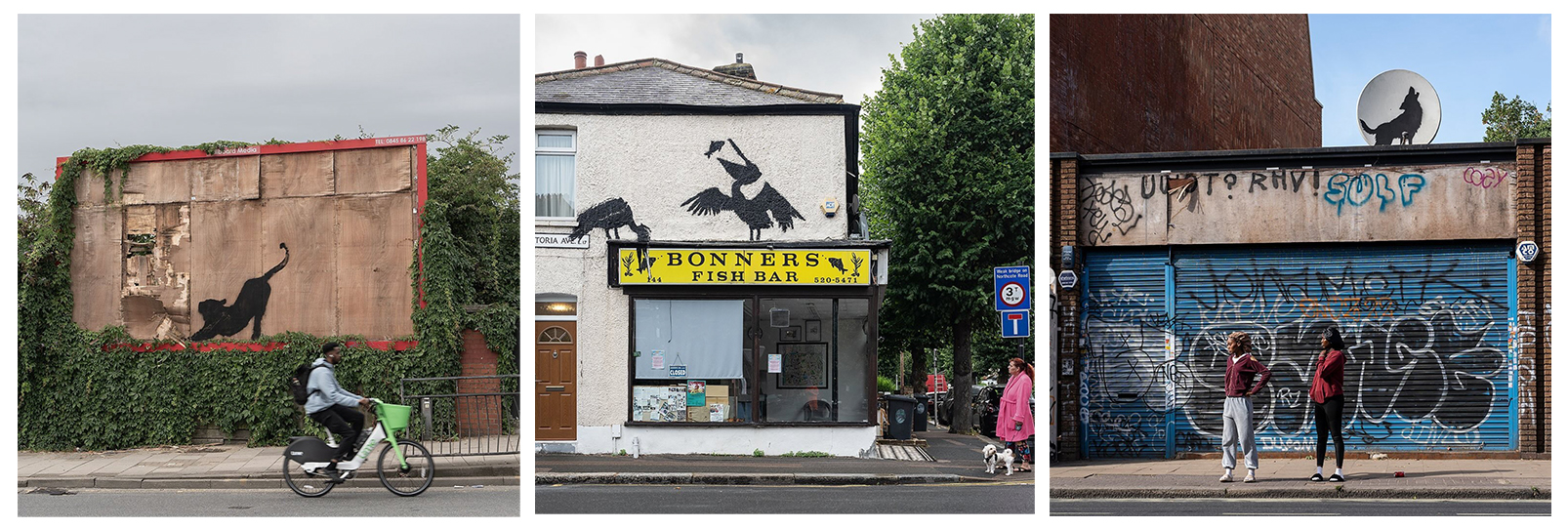 An Artist's Thoughts on Banksy's Recent Wildlife Art | David Shepherd ...