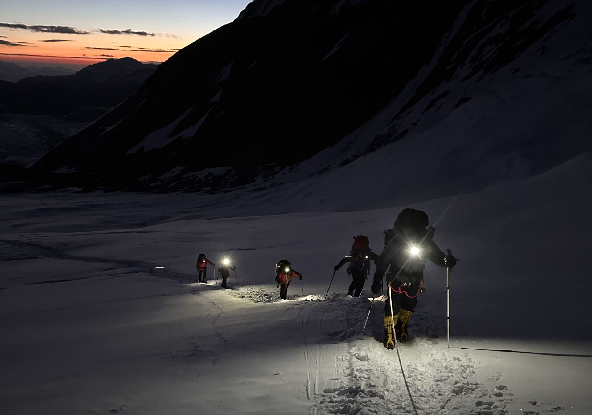 Climbing for Conservation: Tom Hicks' Epic Challenge to Save Snow Leopards | David Shepherd ...