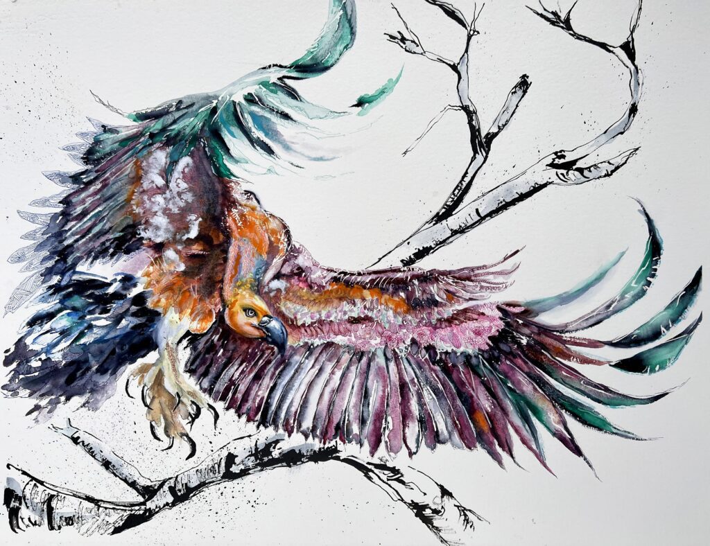 Raptures Delight | David Shepherd Wildlife Foundation