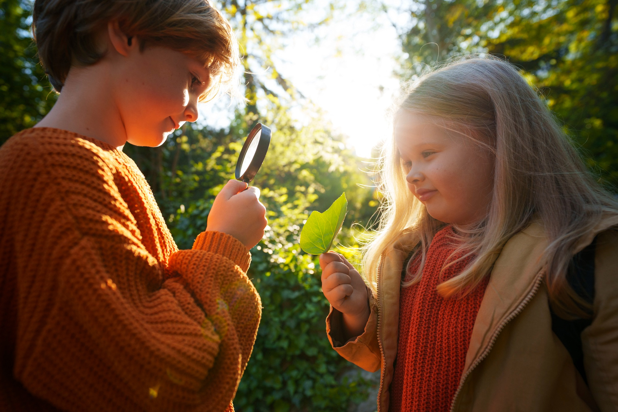 How to Be Green and Sustainable at School | David Shepherd Wildlife ...