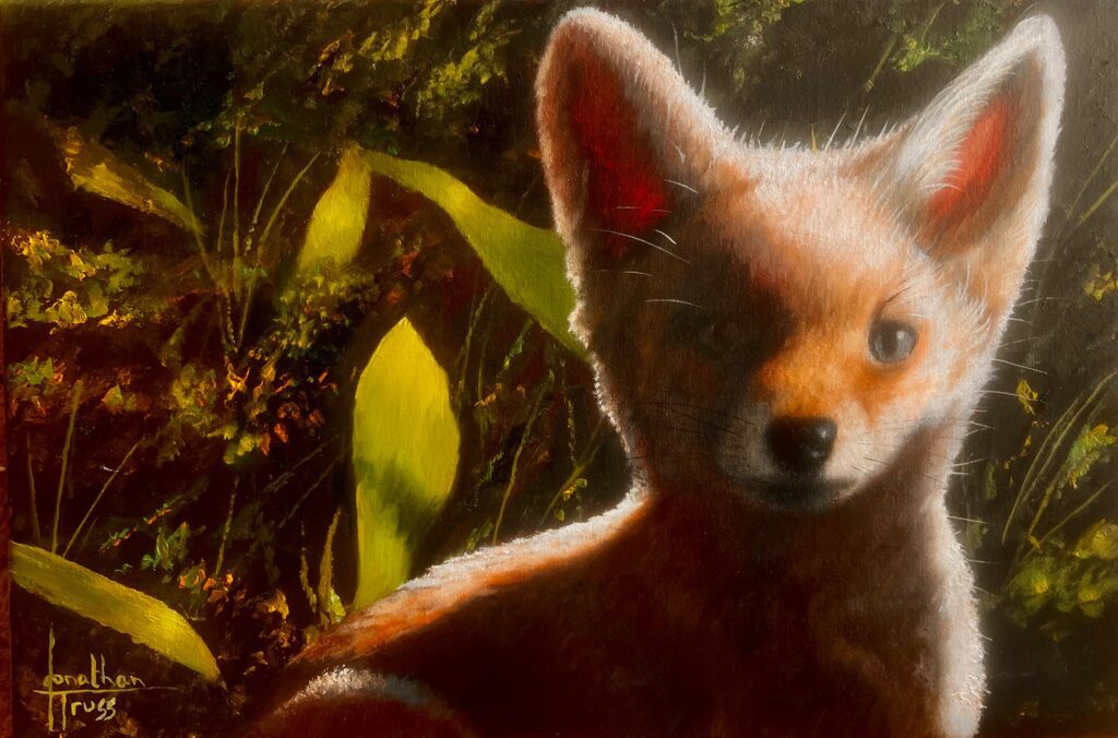 Bush Baby - Jonathan Truss | David Shepherd Wildlife Foundation