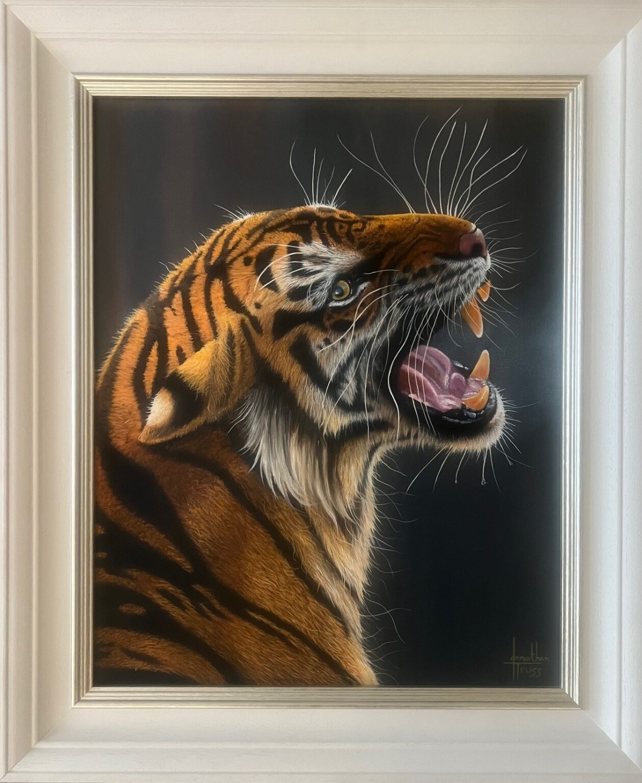 Tiger - Jonathan Truss | David Shepherd Wildlife Foundation