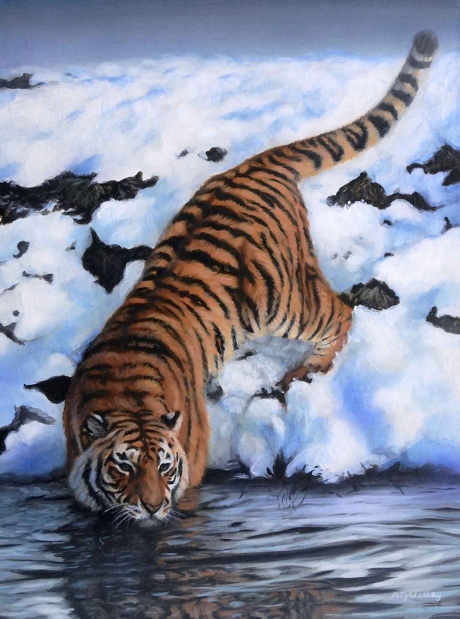 Amber Tyldesley - Siberian Reflections | David Shepherd Wildlife Foundation