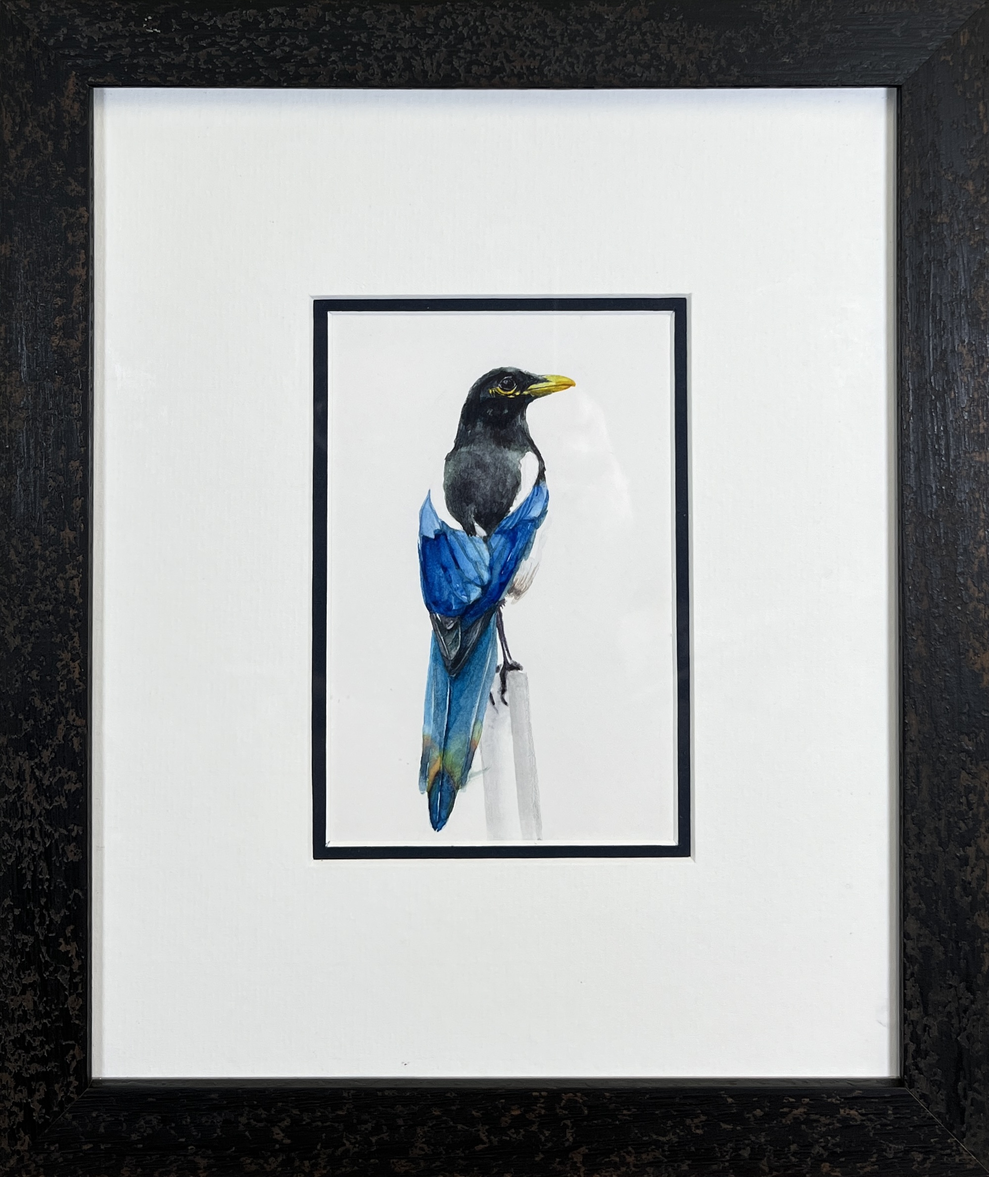 WAY Sketch for Wildlife 2021 - Bird, Blue Wings by Jung Jang | David ...