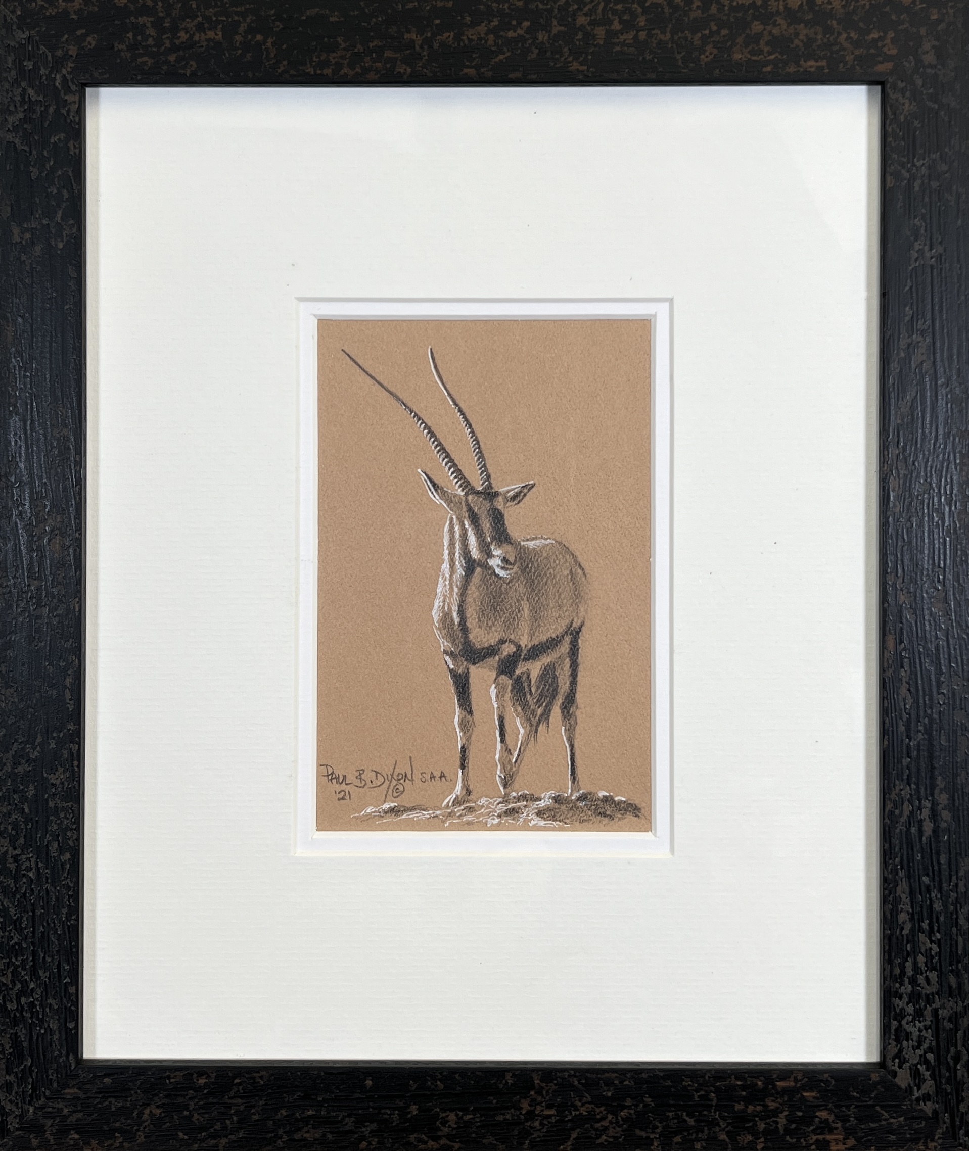 WAY Sketch for Wildlife 2021 - Oryx by Paul Dixon | David Shepherd ...