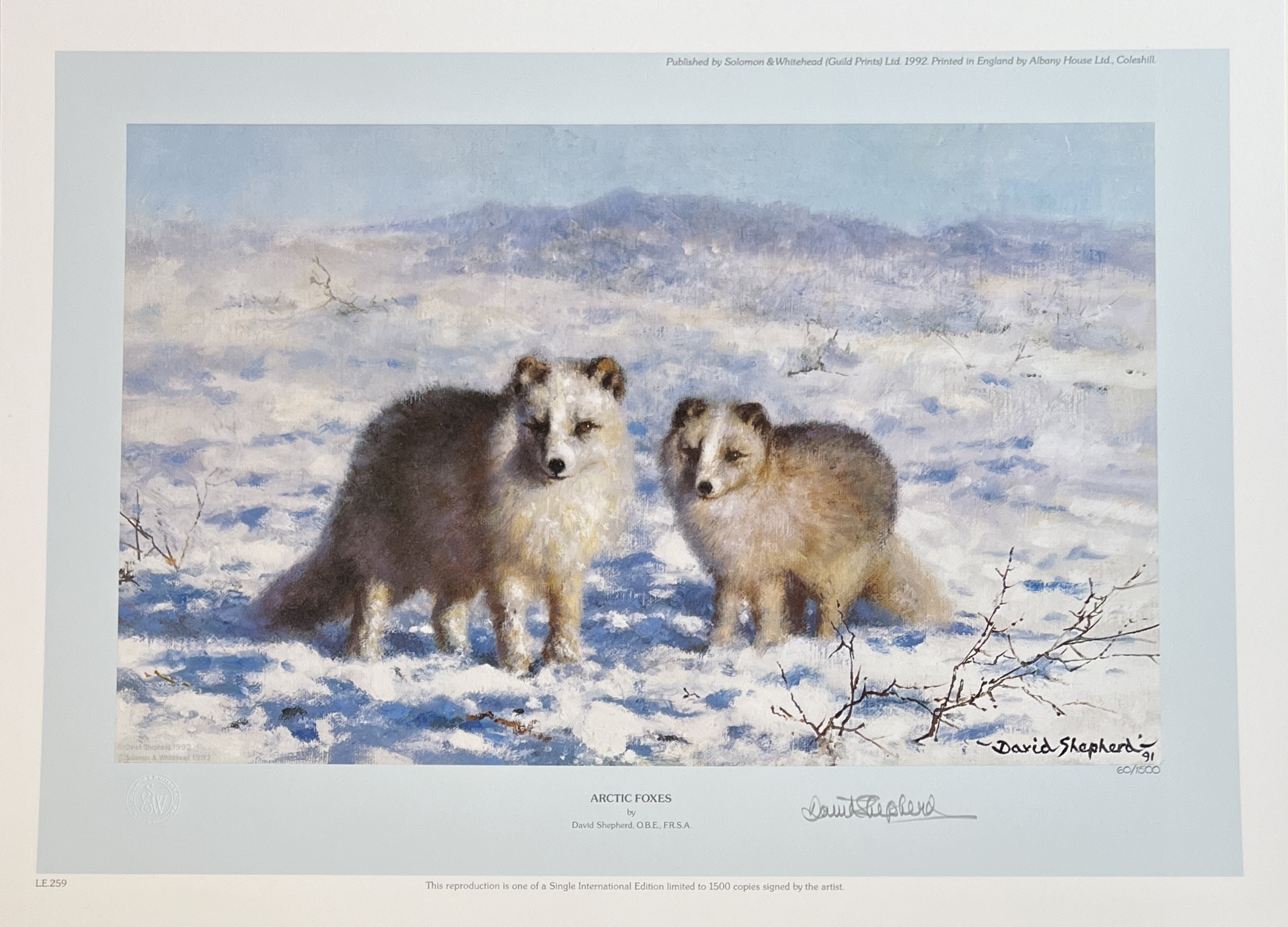 Snow Bundle | David Shepherd Wildlife Foundation