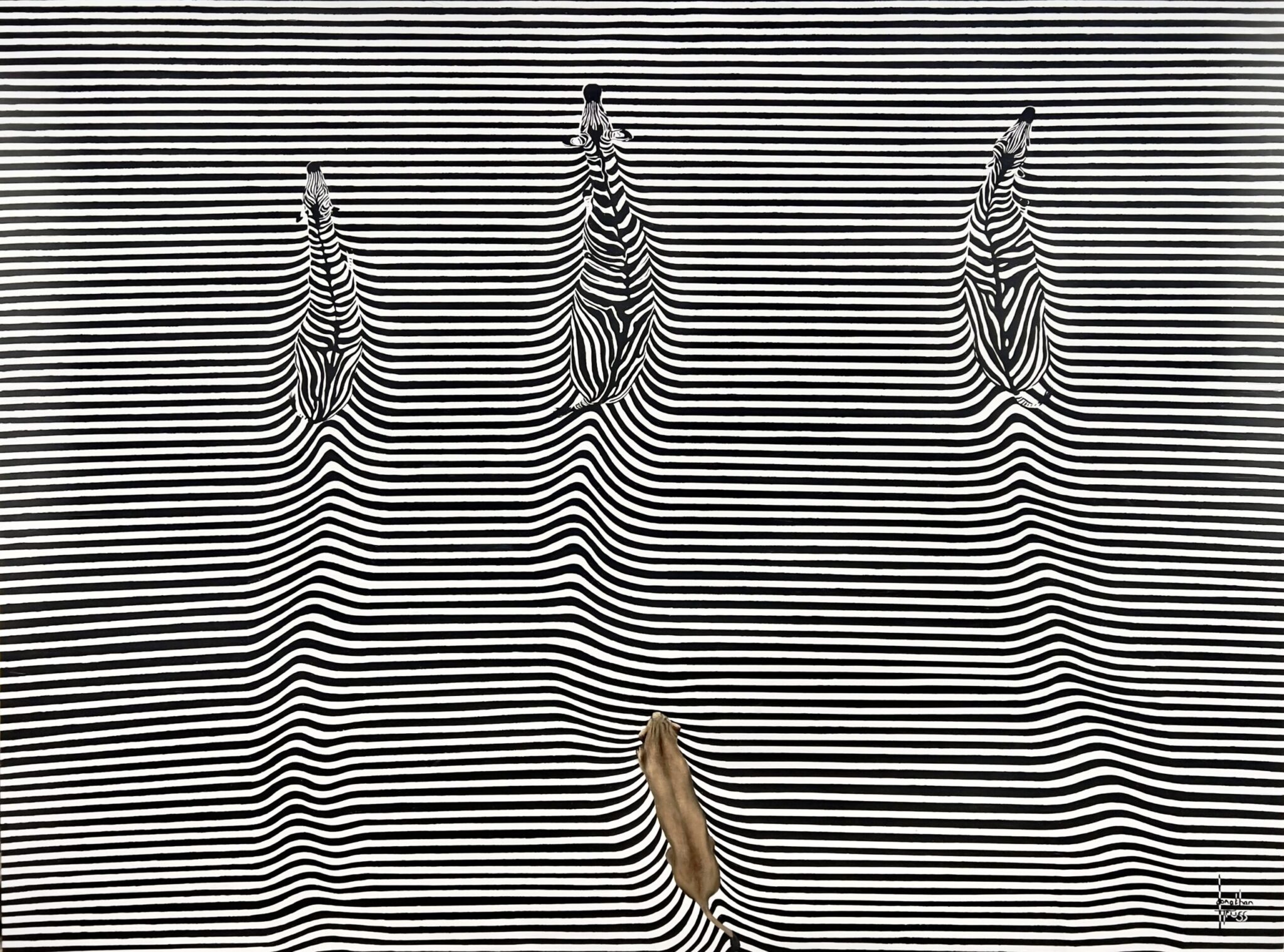 Celebrating the Winners of Wildlife Artist of the Year 2025 | David Shepherd Wildlife Foundation