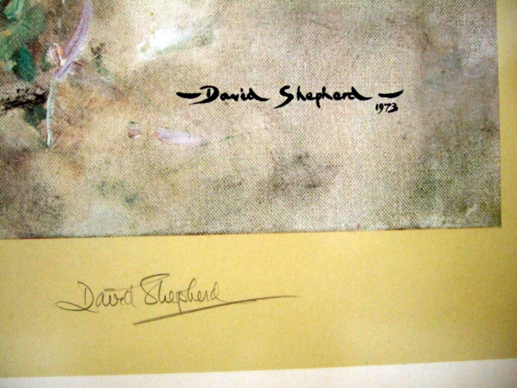 Tiger Fire | David Shepherd Wildlife Foundation