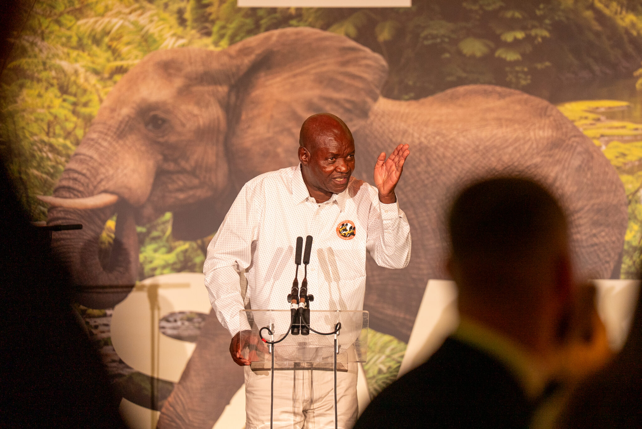 A Night to Remember: The Wildlife Ball 2025 | David Shepherd Wildlife ...
