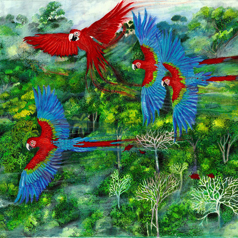 Tiger Conservation & Endangered Status | David Shepherd Wildlife Foundation