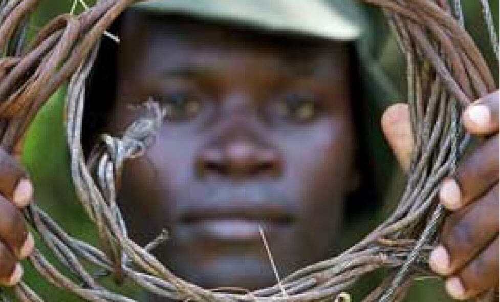 David Shepherd Wildlife Foundation | The Wildlife Conservation Charity