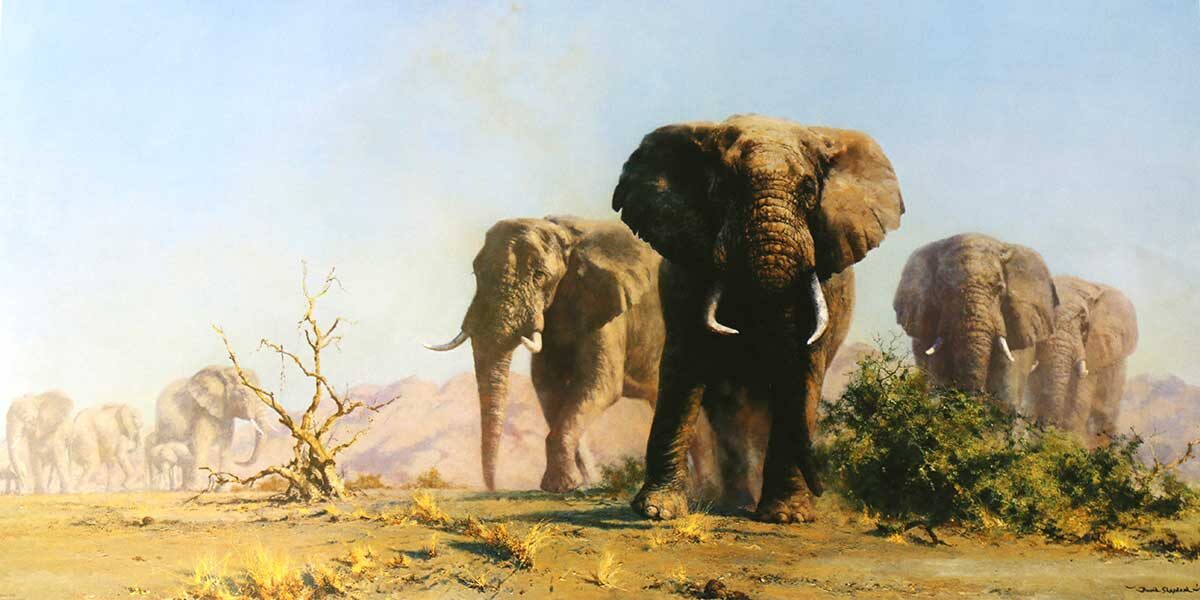 Elephant Art: Drawings, Paintings & More | David Shepherd Wildlife ...