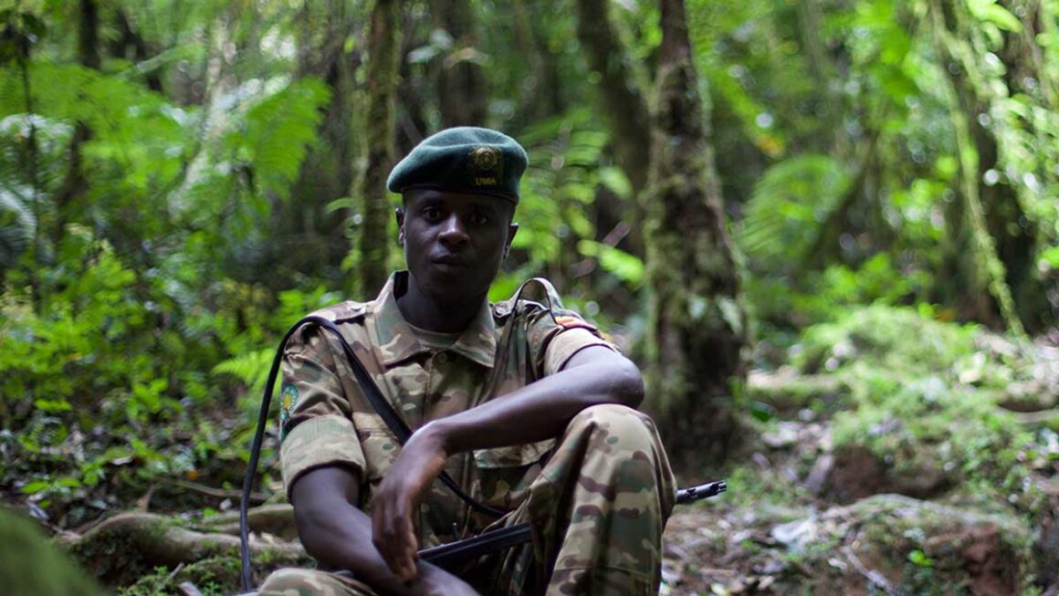 Sponsor a ranger today | David Shepherd Wildlife Foundation